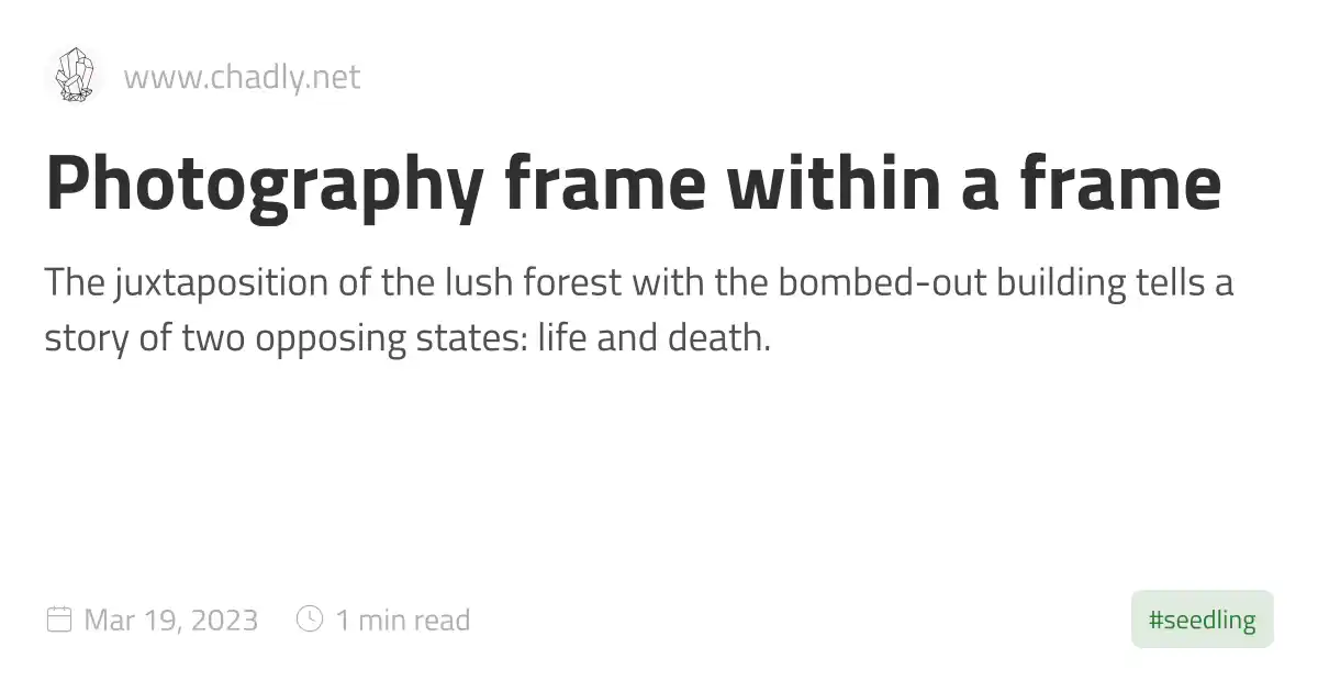 Photography frame within a frame